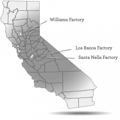 Truck Driving Jobs | Morning Star Trucking | About Us